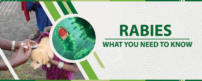 Outbreaks – Rabies – National Department of Health